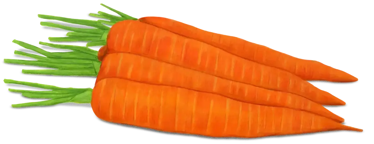 Eat Real Food
